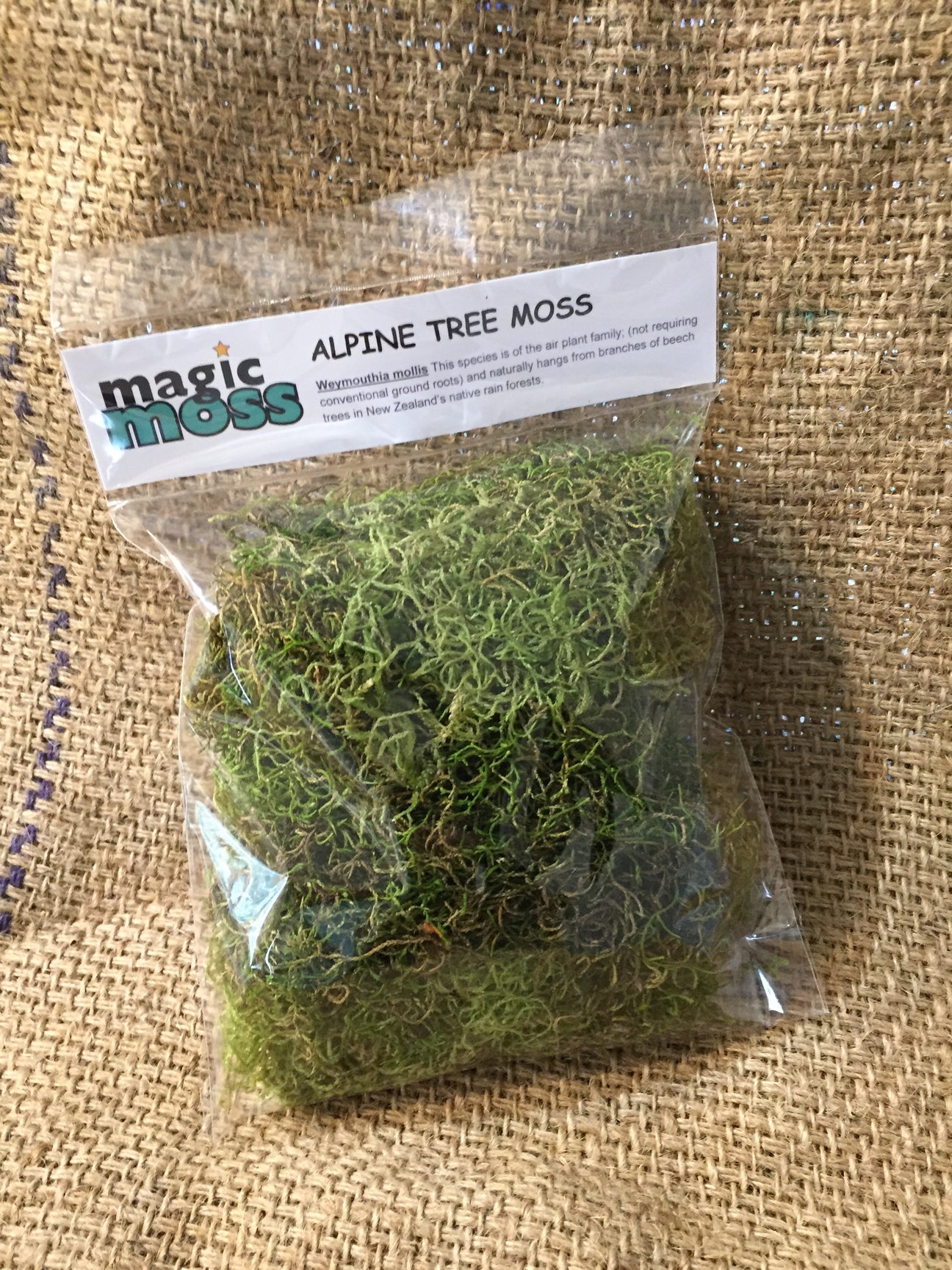 Alpine Tree Moss 25g (Dried) – Magic Moss